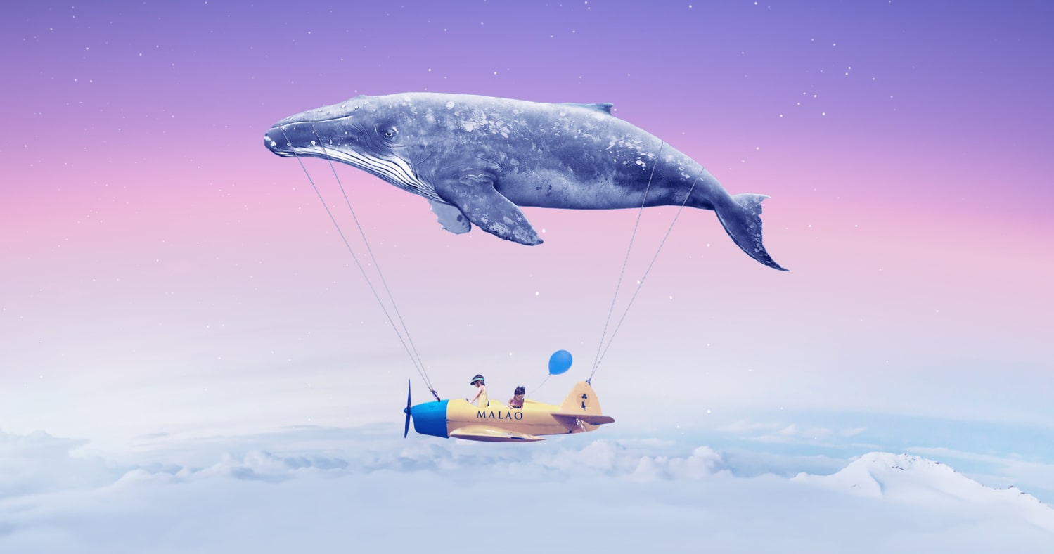 Malao - Meaningful Entertainment